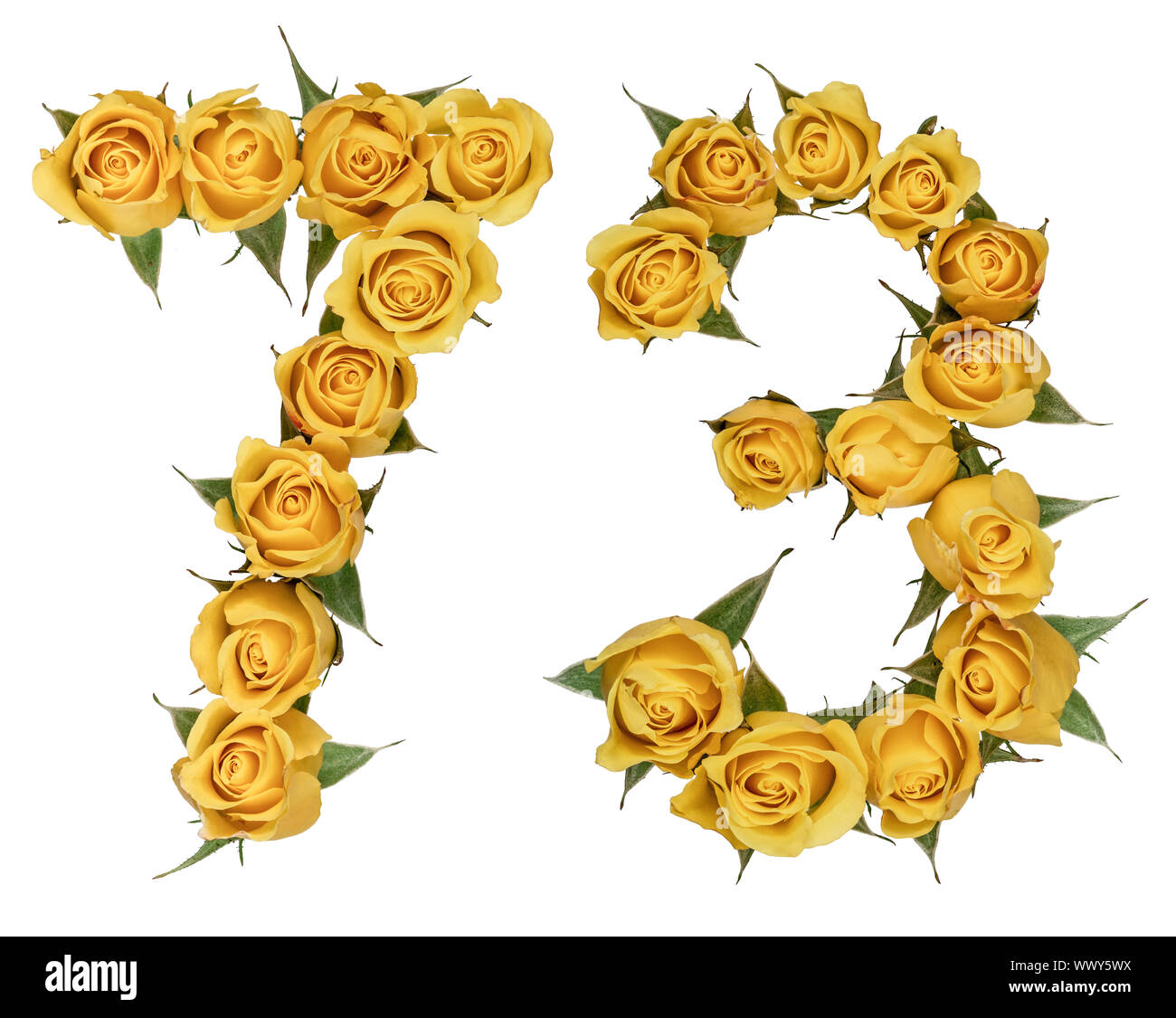 Arabic numeral 73, seventy three, from yellow flowers of rose, isolated ...