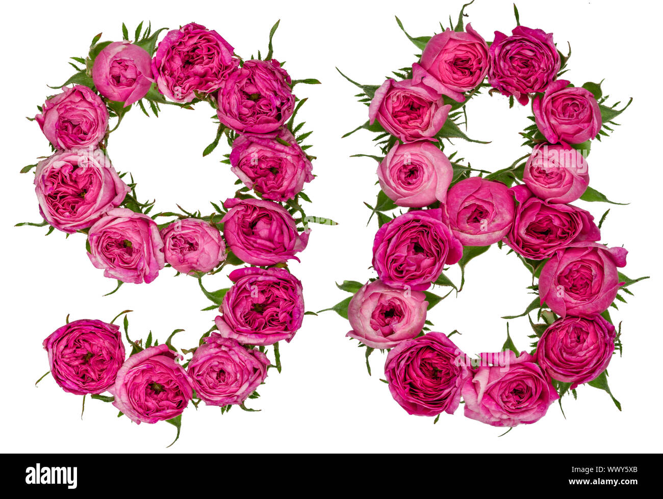 Arabic numeral 98, ninety eight, from red flowers of rose, isolated on ...