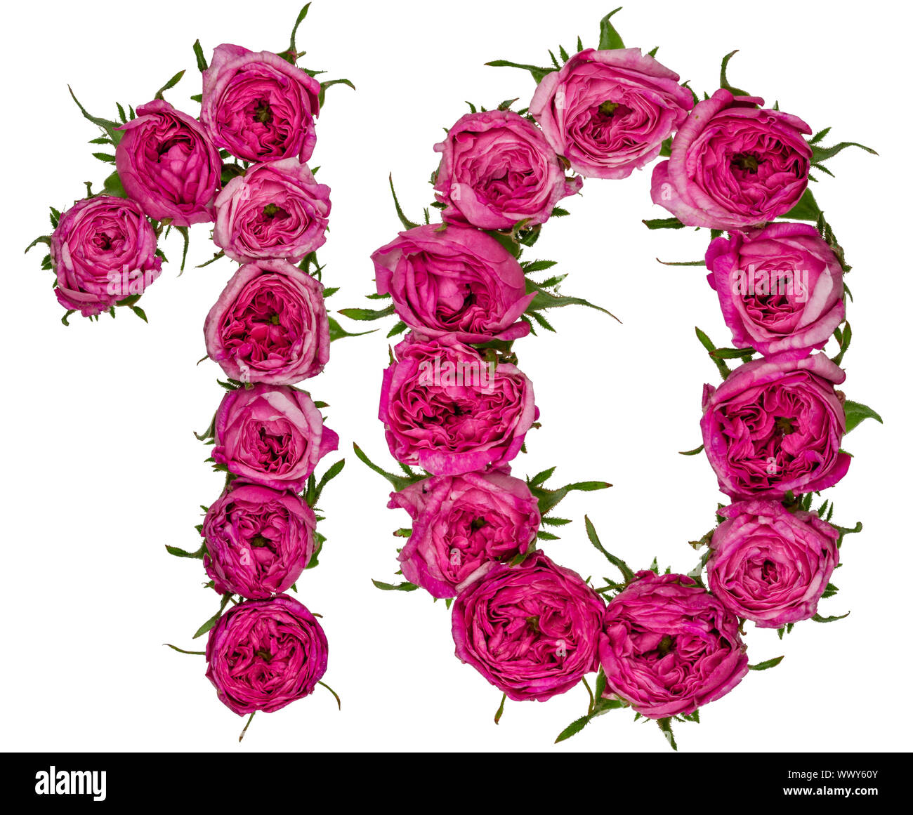 Arabic numeral 10, ten, from red flowers of rose, isolated on white ...