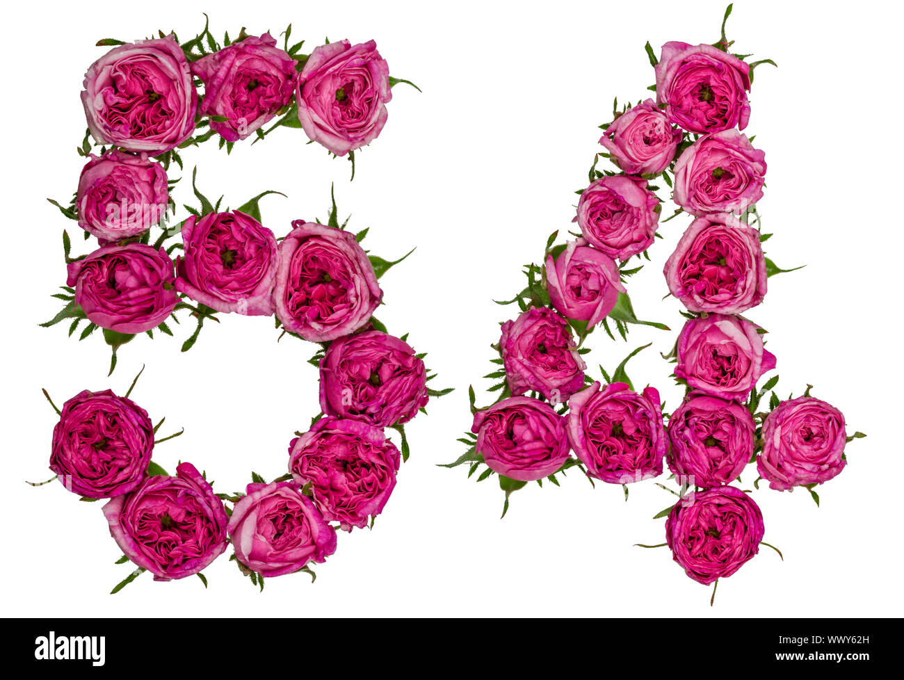 Arabic numeral 54, fifty four, from red flowers of rose, isolated on ...