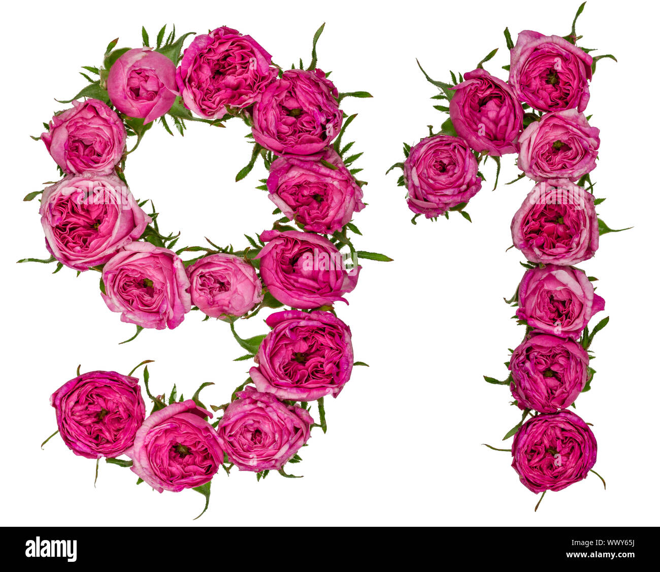 Arabic numeral 91, ninety one, from red flowers of rose, isolated on ...