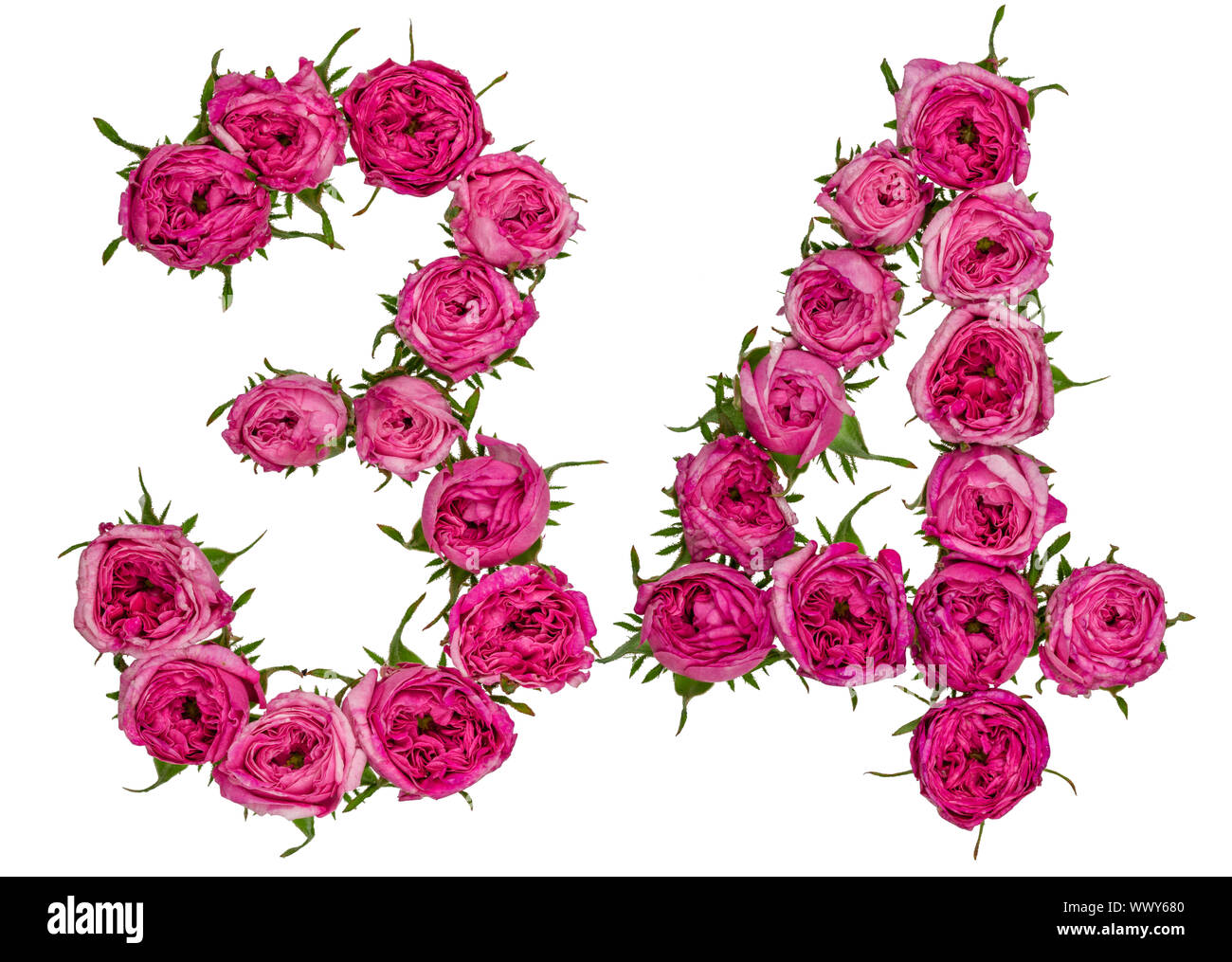 Arabic numeral 34, thirty four, from red flowers of rose, isolated on ...