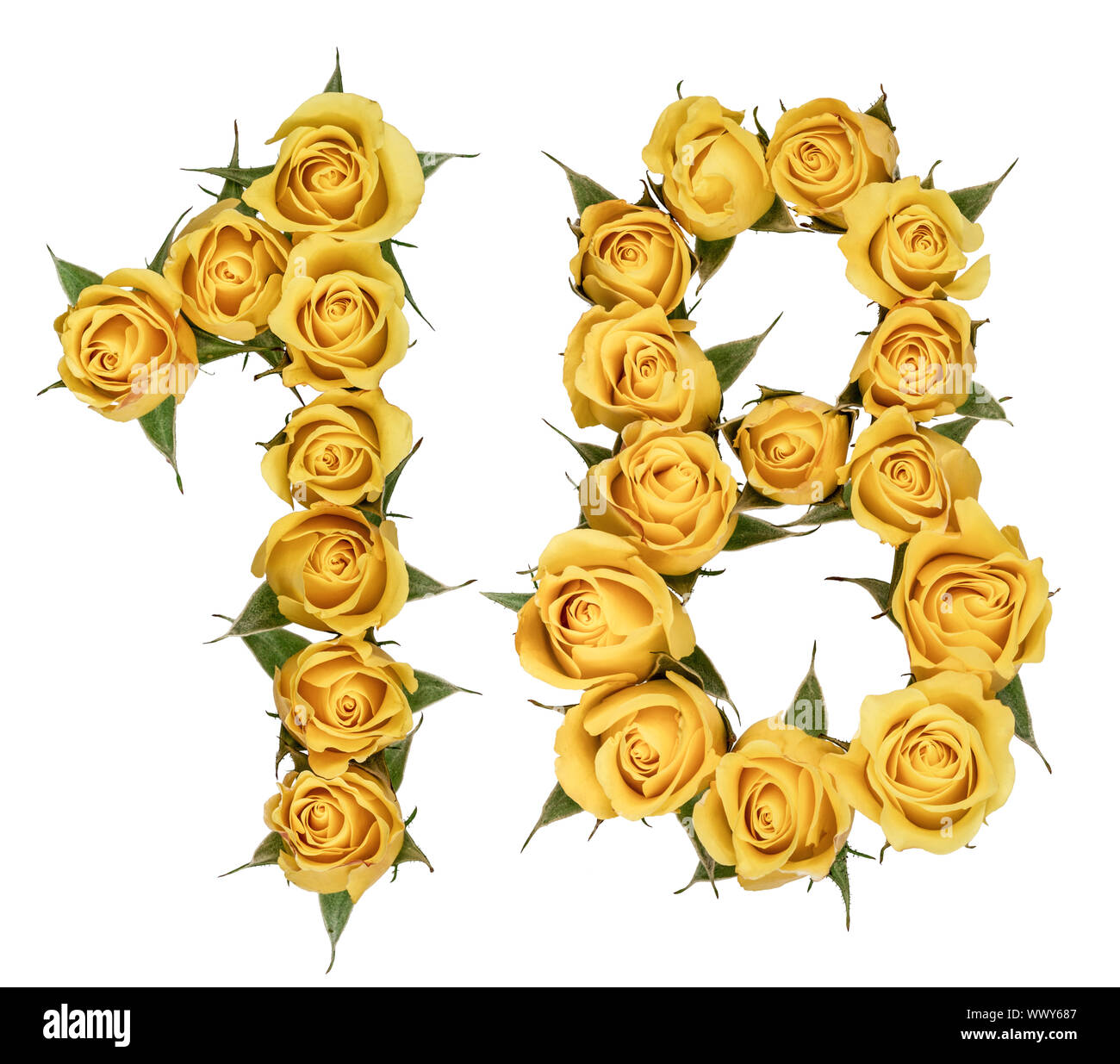 Arabic numeral 18, eighteen, from yellow flowers of rose, isolated on ...