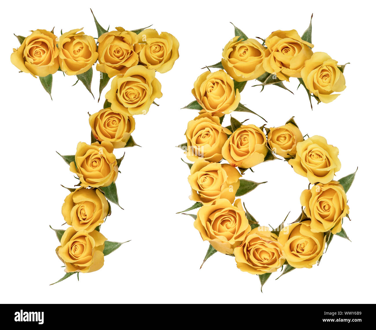 Arabic numeral 76, seventy six, from yellow flowers of rose, isolated ...