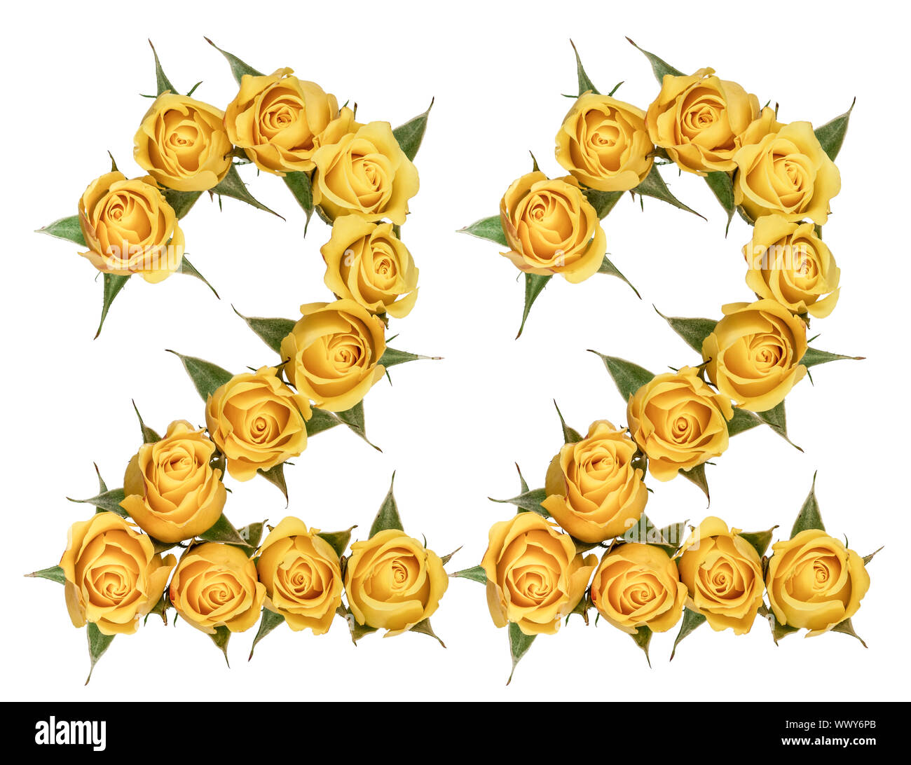 Arabic numeral 22, twenty two, from yellow flowers of rose, isolated on ...
