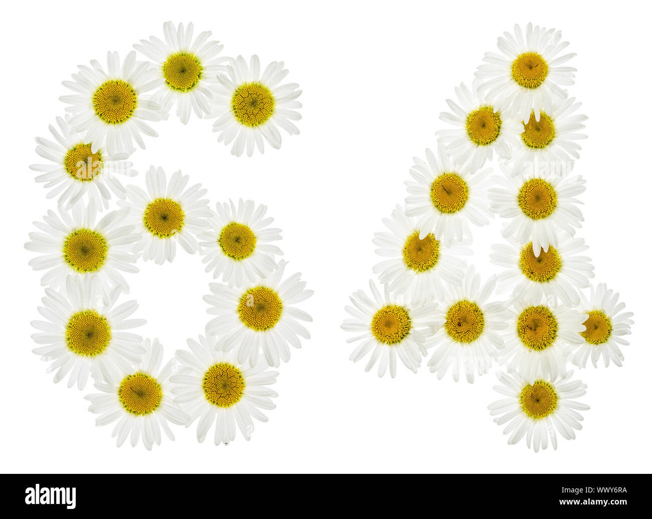 Arabic numeral 64, sixty four, from white flowers of chamomile ...