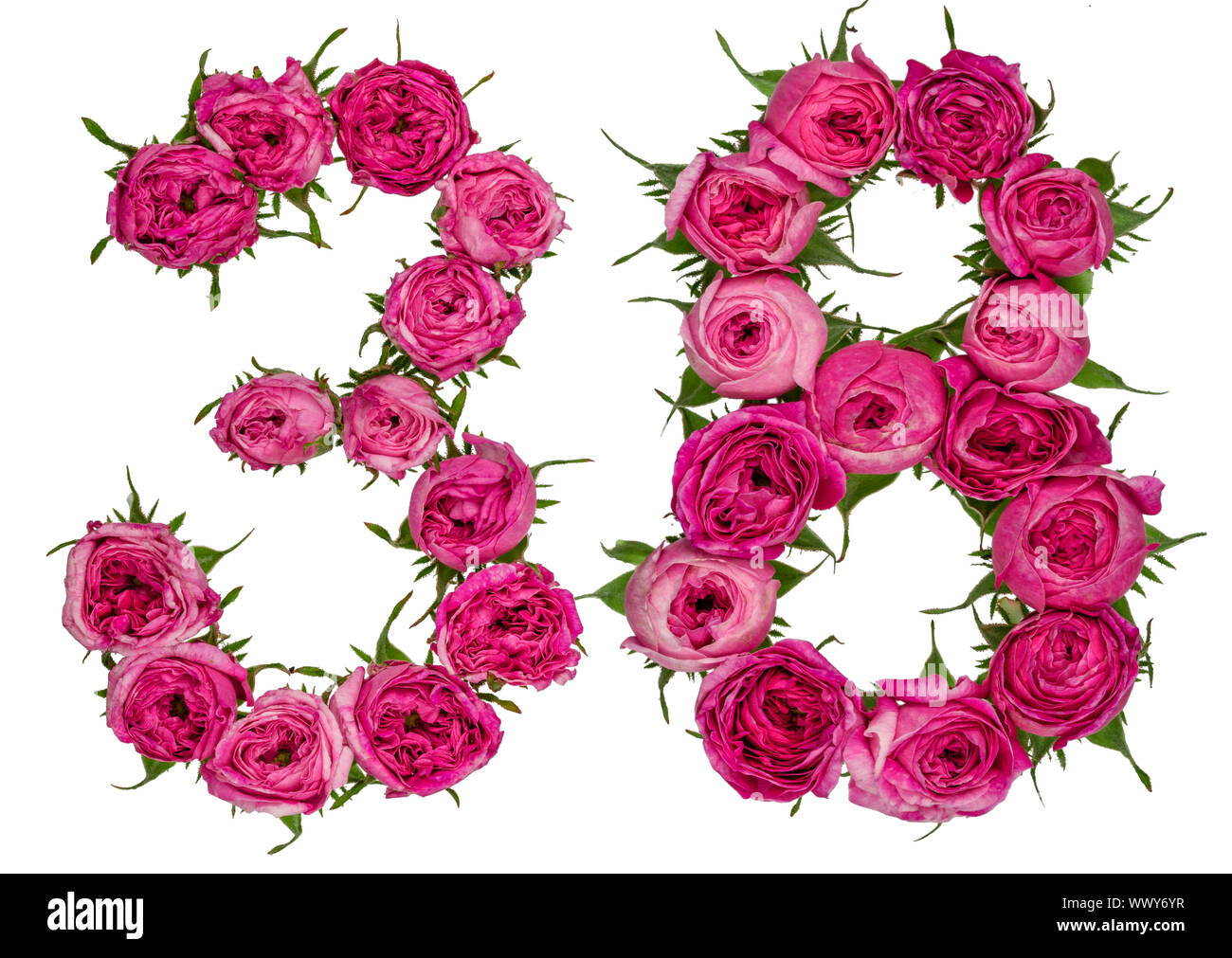 Arabic numeral 38, thirty eight, from red flowers of rose, isolated on ...