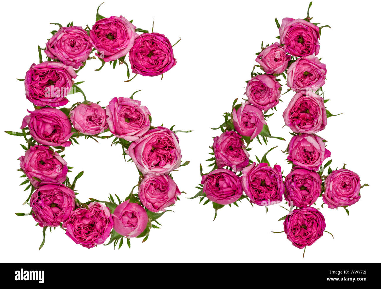 Arabic numeral 64, sixty four, from red flowers of rose, isolated on ...