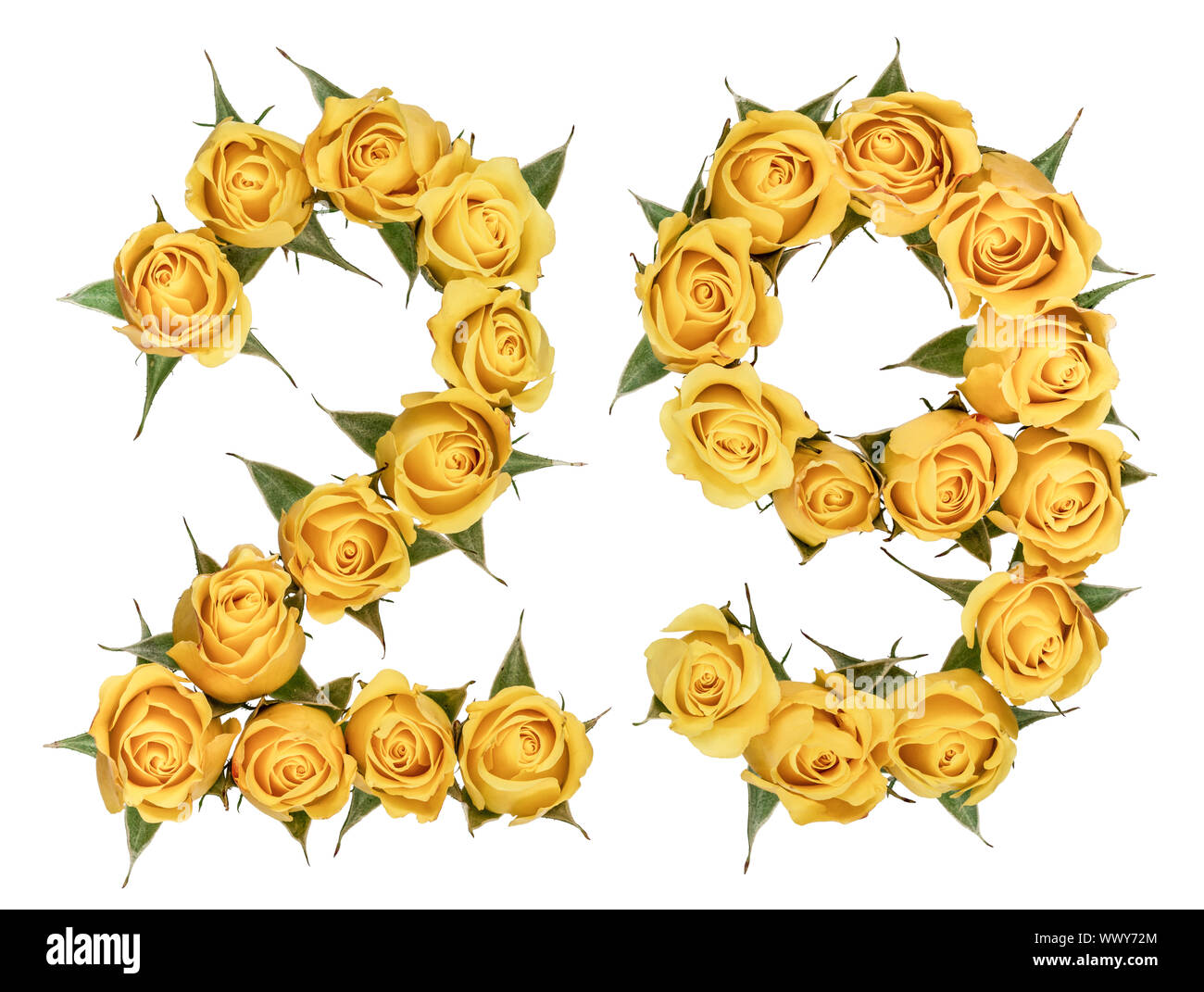 Arabic numeral 29, twenty nine, from yellow flowers of rose, isolated ...