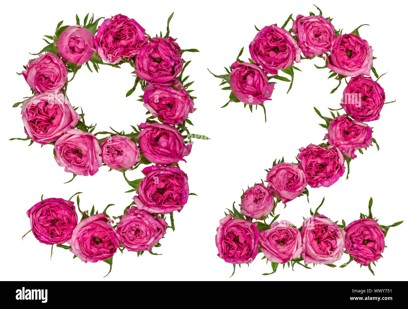 Arabic numeral 92, ninety two, from red flowers of rose, isolated on ...