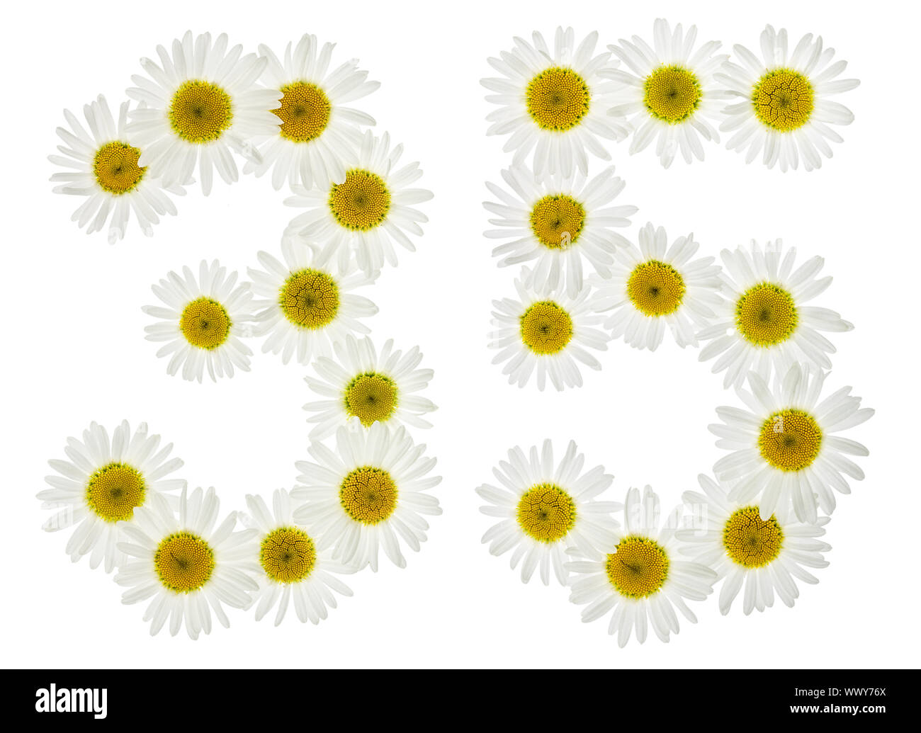Arabic numeral 35, thirty five, from white flowers of chamomile ...