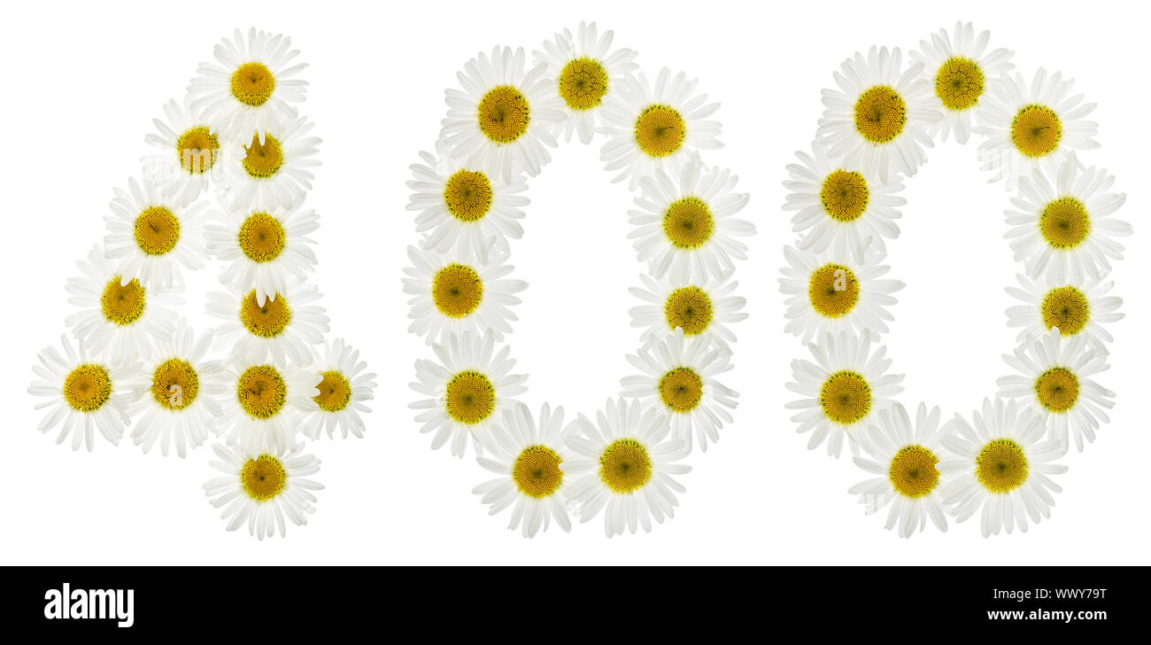 Arabic numeral 400, four hundred, from white flowers of chamomile ...