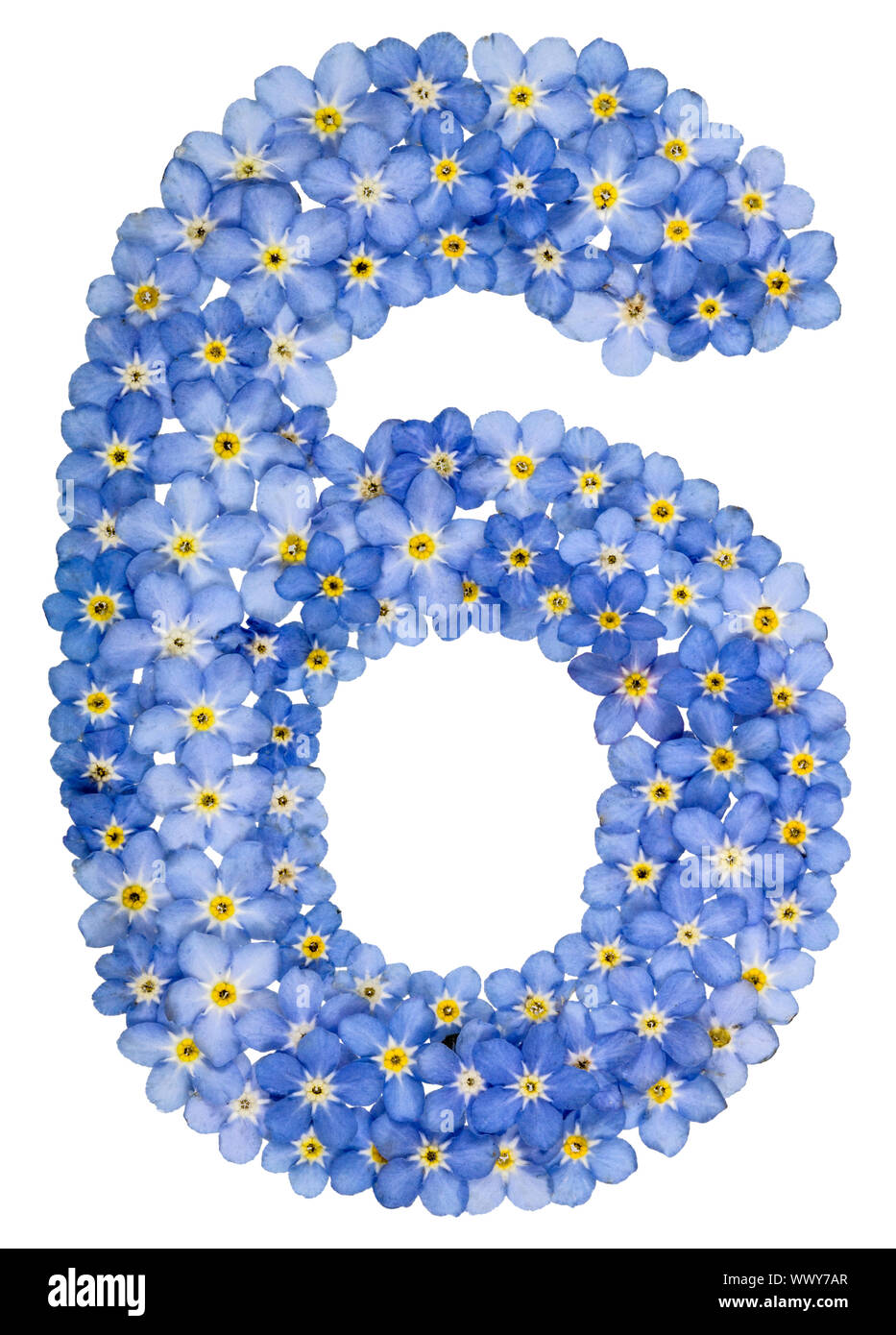 Arabic numeral 6, six, , from blue forget-me-not flowers Stock Photo ...