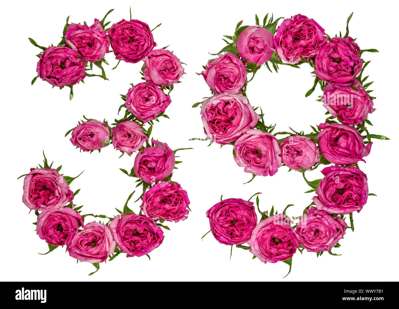 Arabic numeral 39, thirty nine, from red flowers of rose, isolated on ...