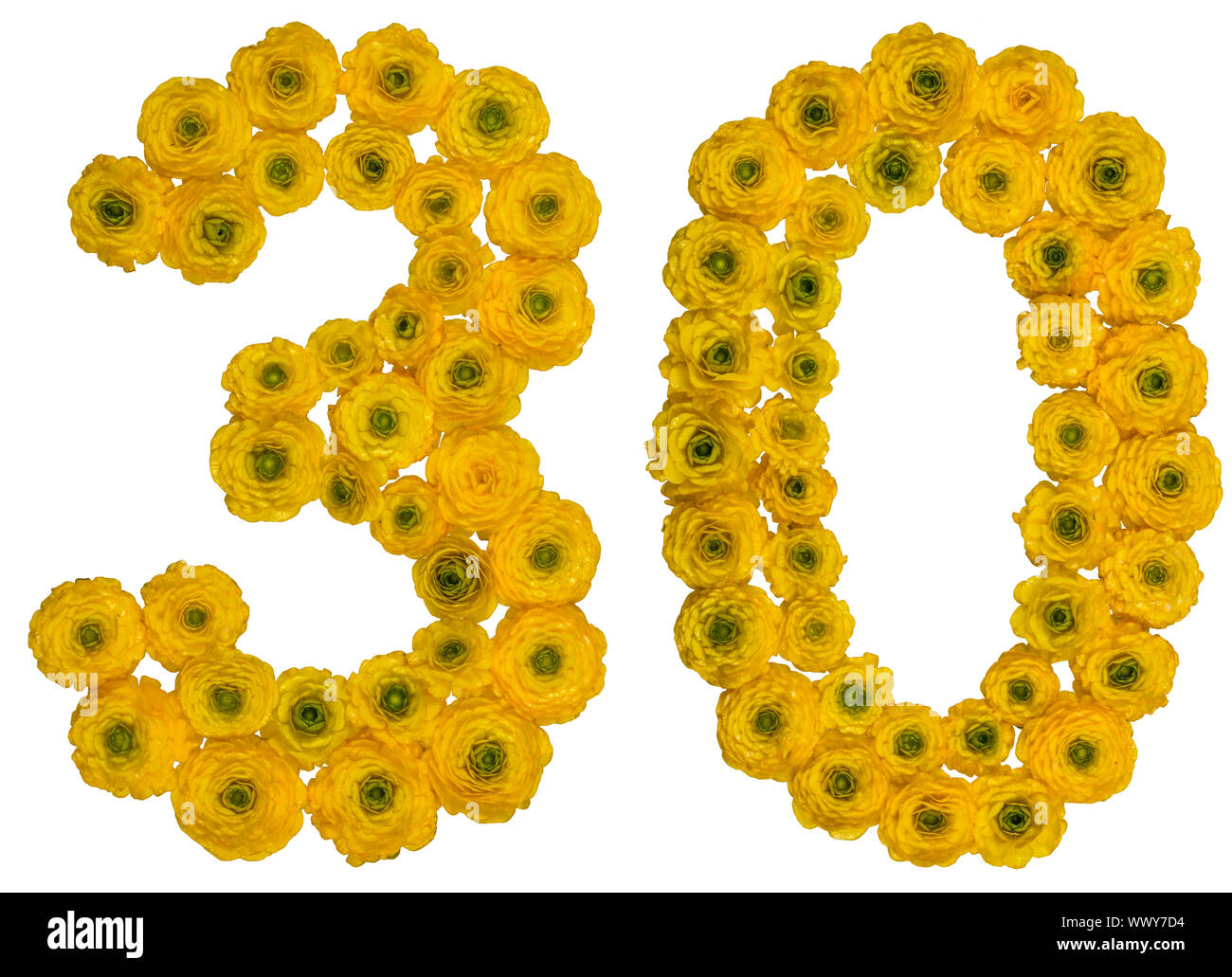 Arabic numeral 30, thirty, from yellow flowers of buttercup, isolated ...