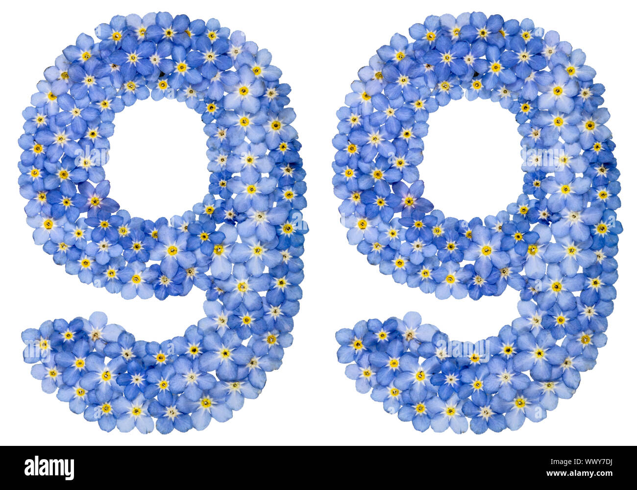 Arabic numeral 99, ninety nine, from blue forget-me-not flowers Stock ...