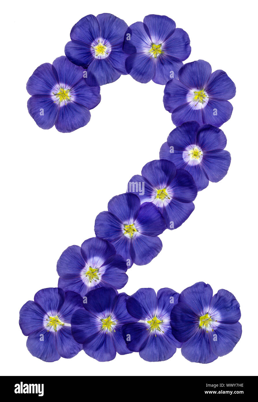 Arabic numeral 2, two, from blue flowers of flax, isolated on white ...