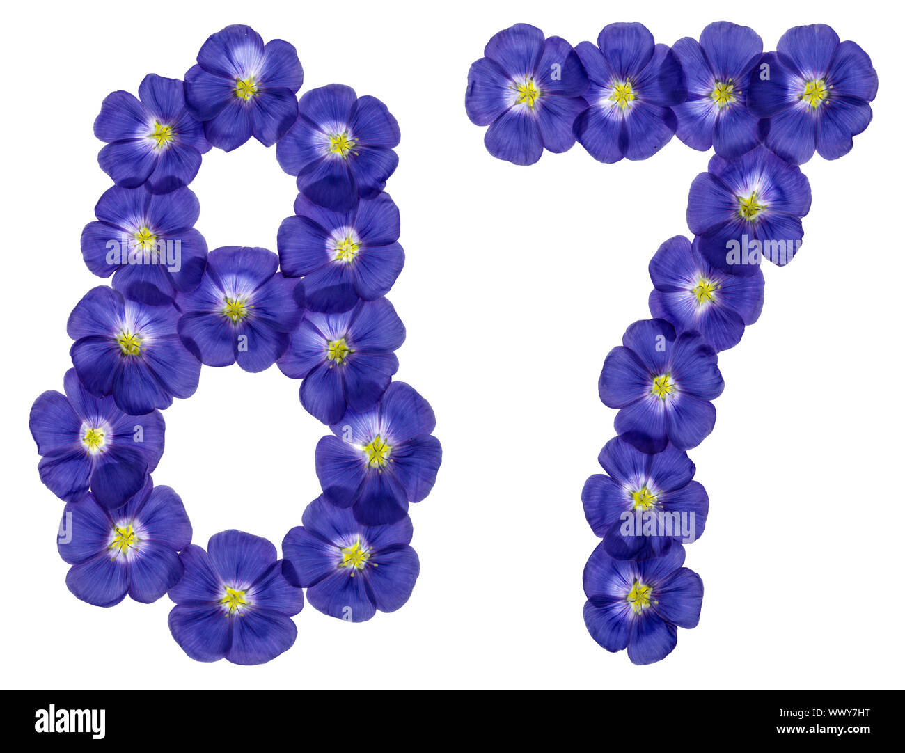 Arabic numeral 87, eighty seven, from blue flowers of flax, isolated on ...