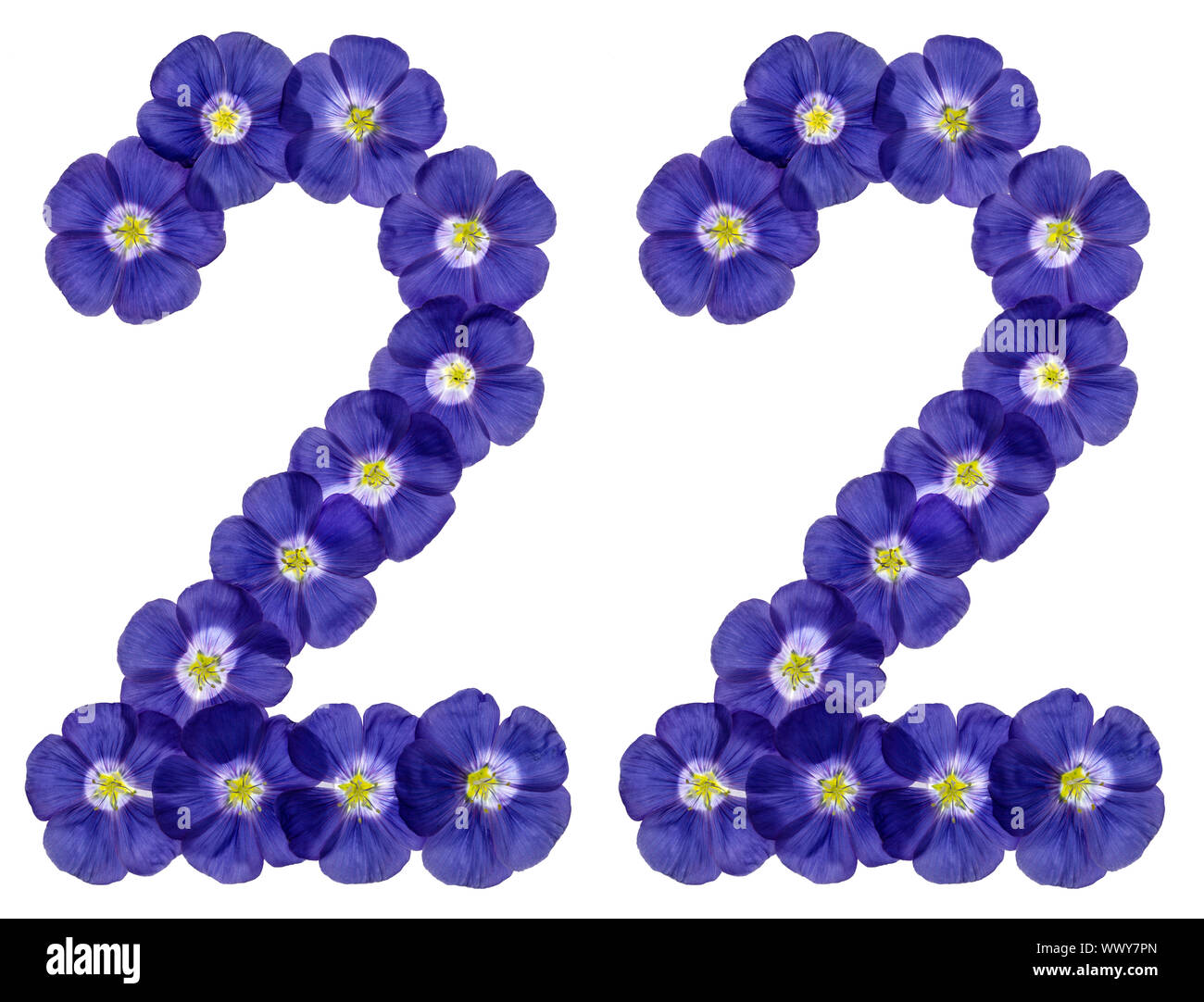 Arabic numeral 22, twenty two, from blue flowers of flax, isolated on ...