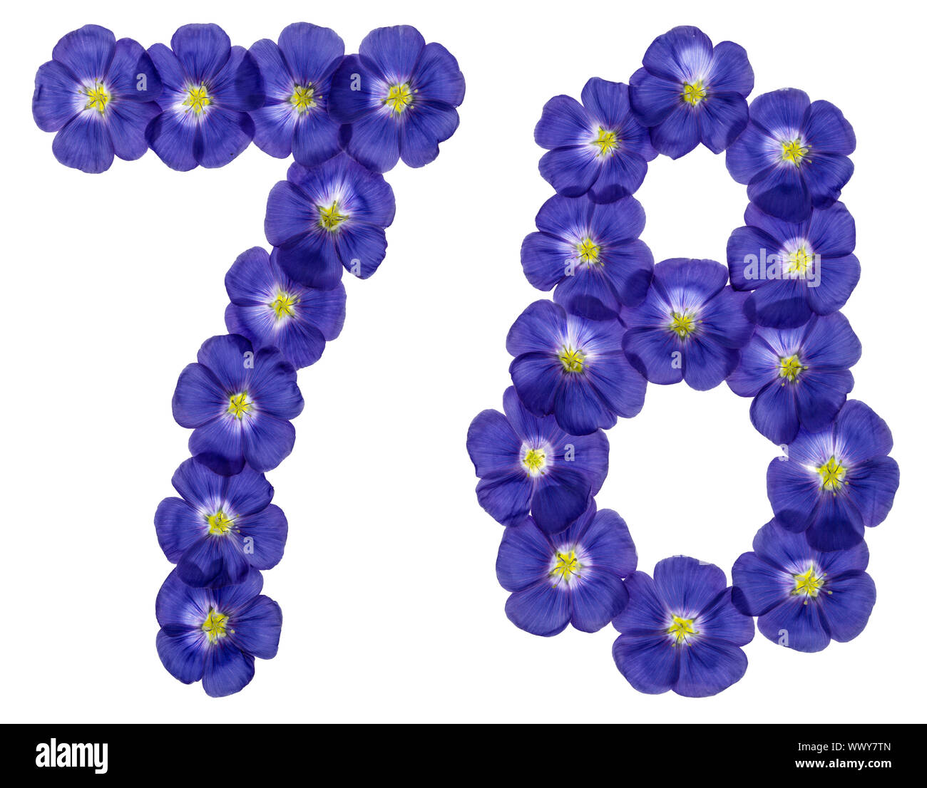Arabic numeral 78, seventy eight, from blue flowers of flax, isolated ...