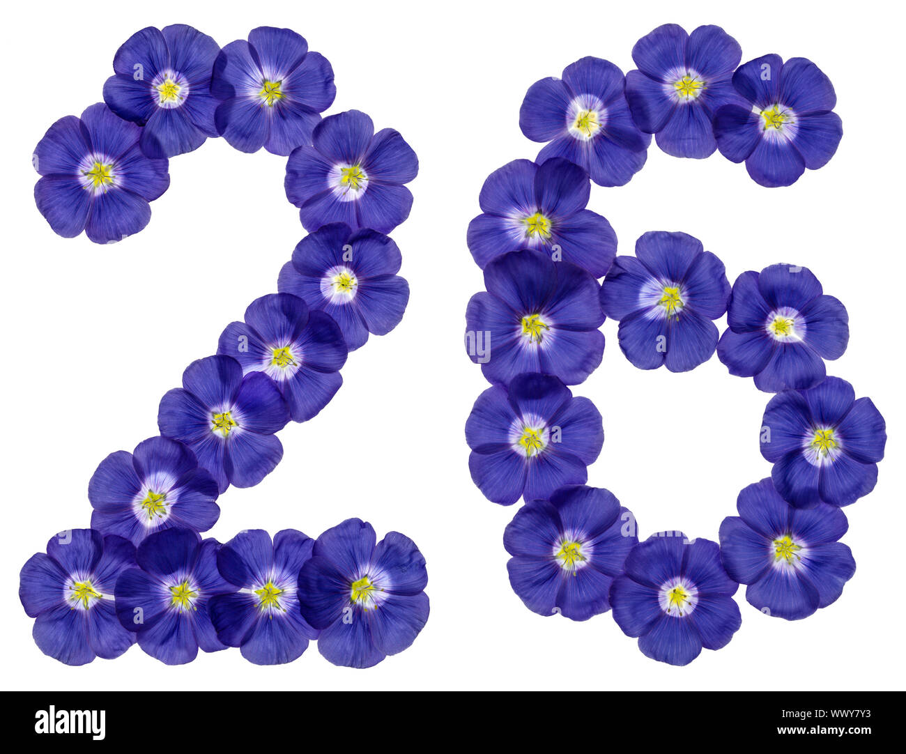 Arabic numeral 26, twenty six, from blue flowers of flax, isolated on ...