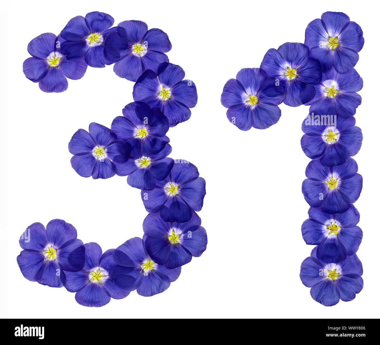 Arabic numeral 31, thirty one, from blue flowers of flax, isolated on ...