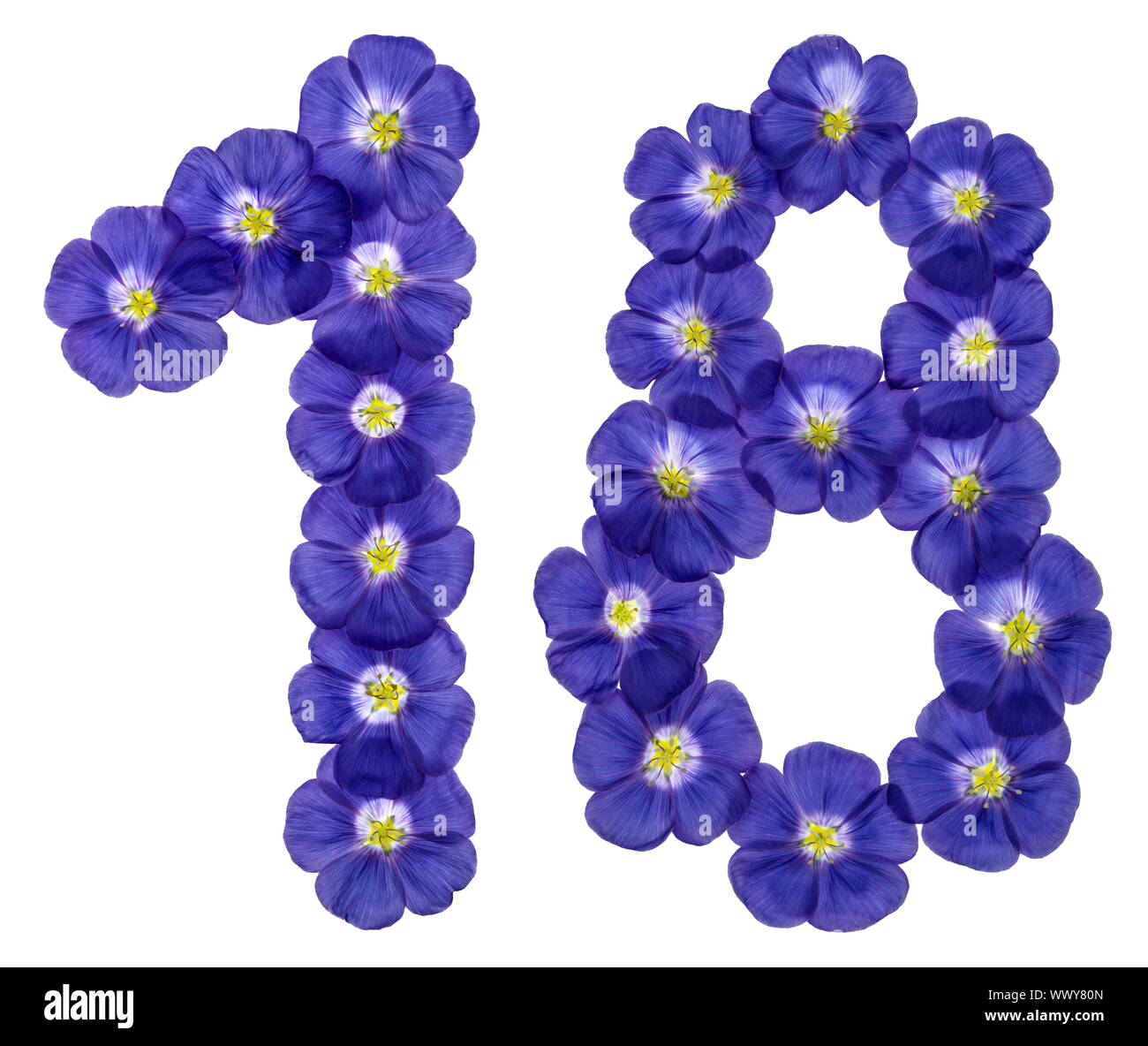 Arabic numeral 18, eighteen, one, from blue flowers of flax, isolated ...