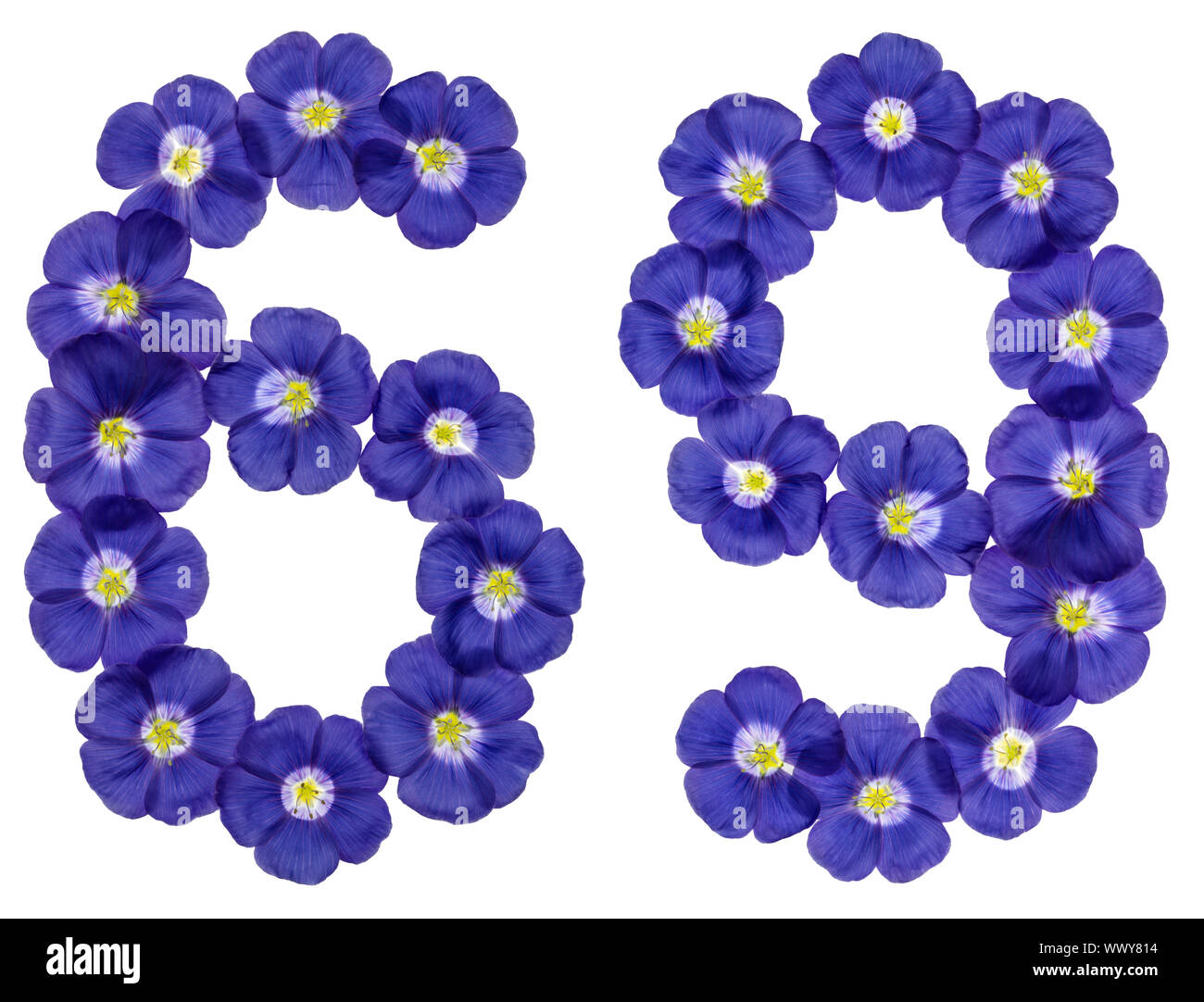 Arabic numeral 69, sixty nine, from blue flowers of flax, isolated on ...