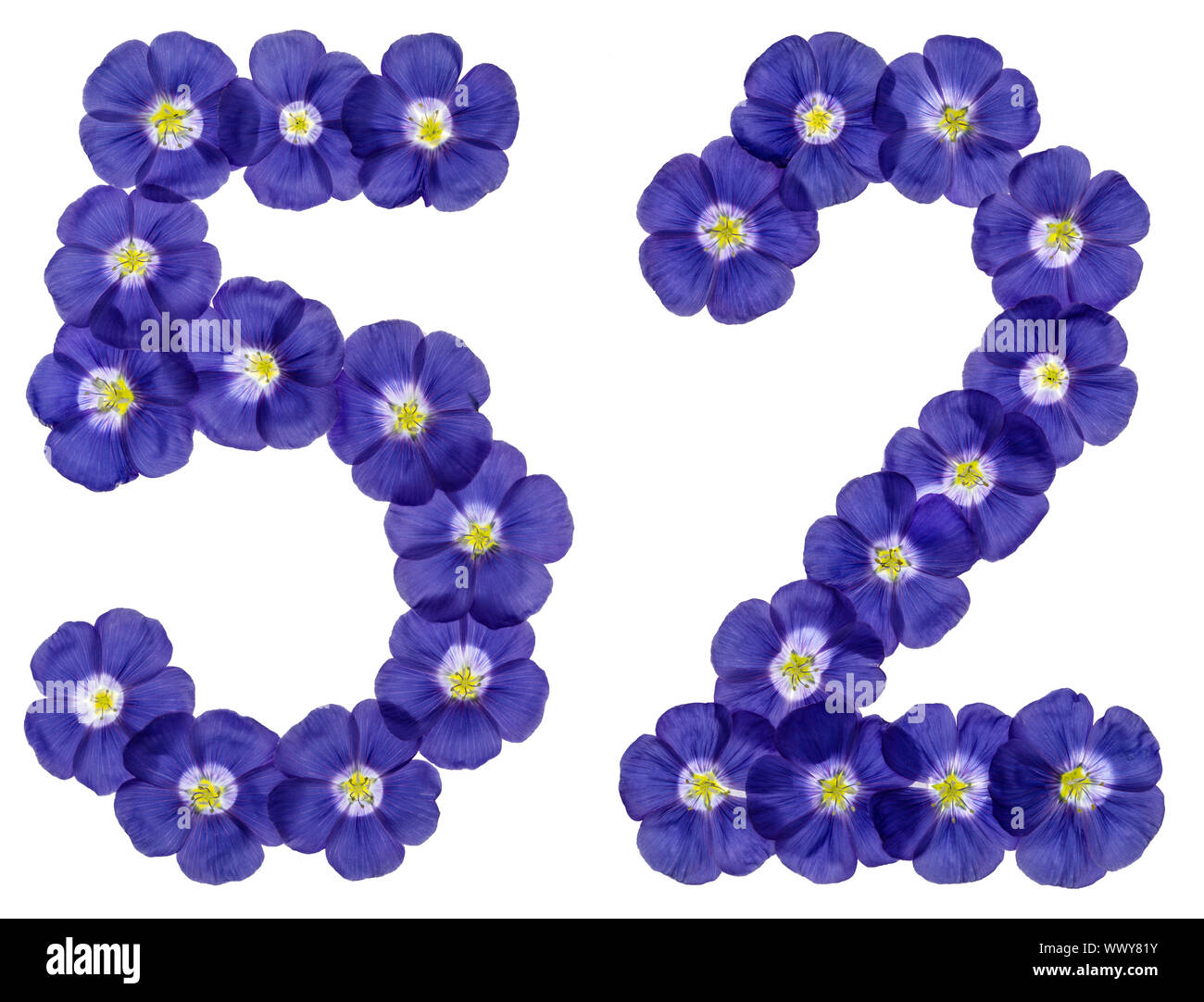 Arabic numeral 52, fifty two, from blue flowers of flax, isolated on ...