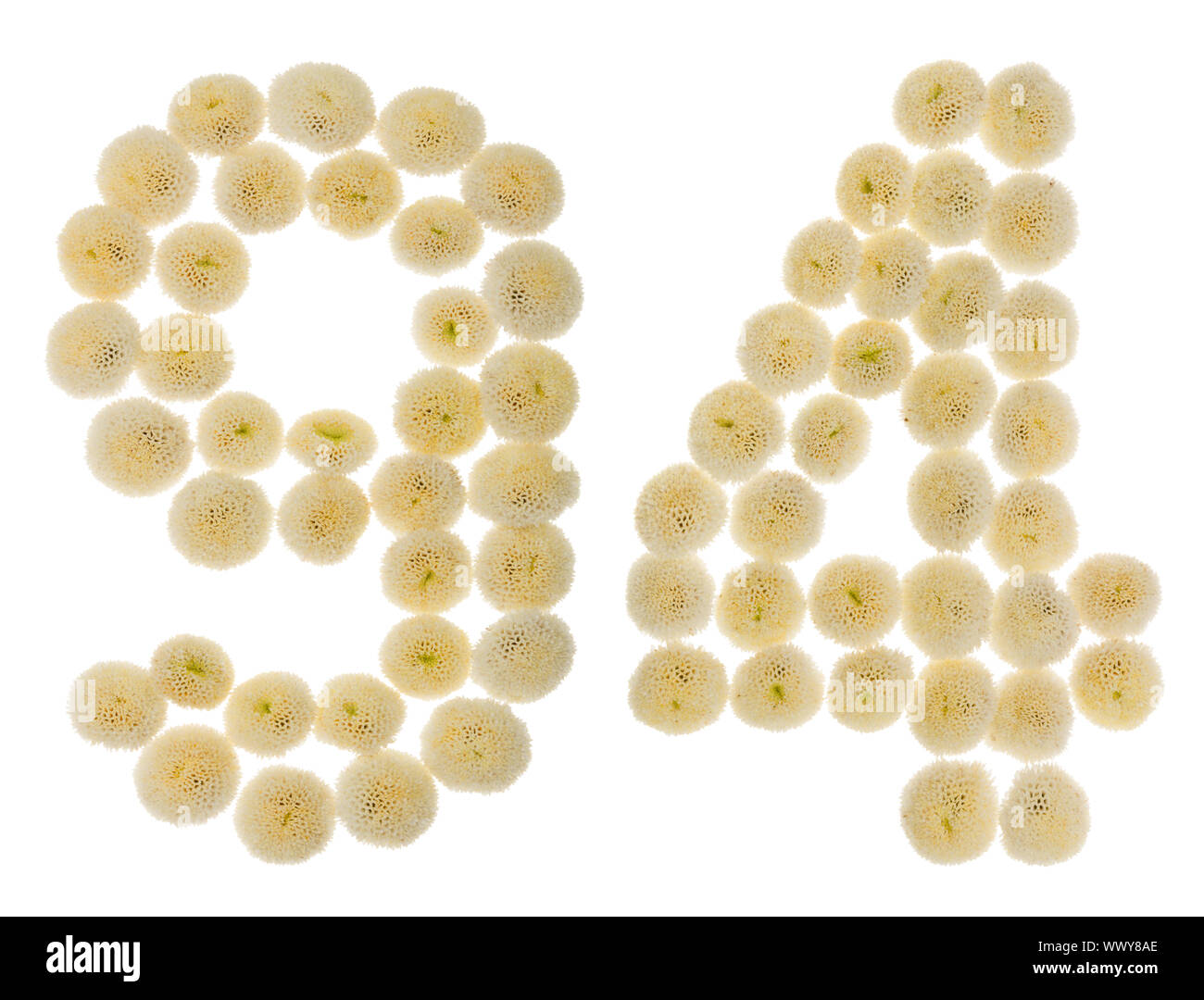 Arabic numeral 94, ninety four, from cream flowers of chrysanthemum ...