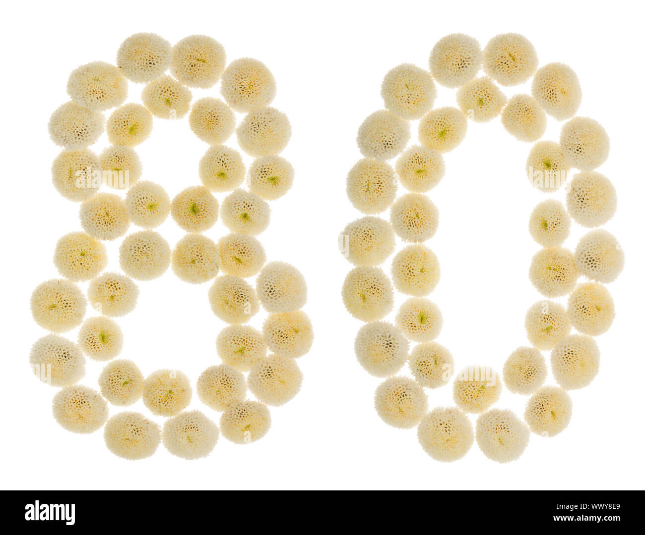 Number 80 flowers Cut Out Stock Images & Pictures - Alamy
