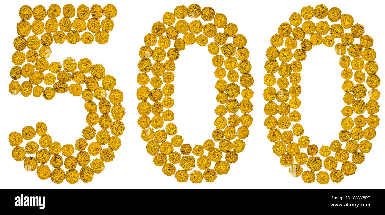 Arabic numeral 500, five hundred, from yellow flowers of tansy ...