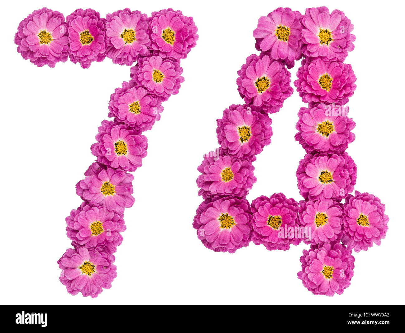 Arabic numeral 74, seventy four, from flowers of chrysanthemum ...