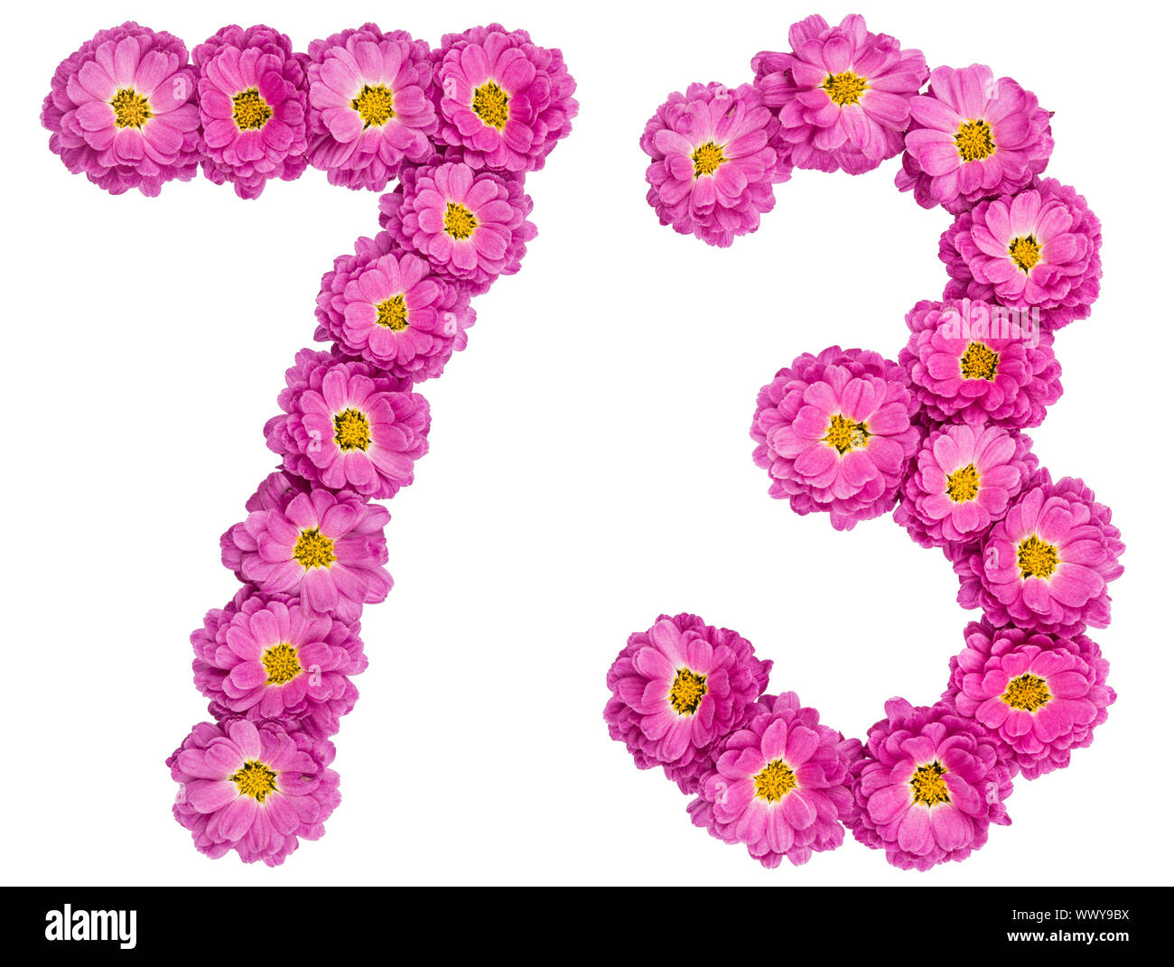 Arabic numeral 73, seventy three, from flowers of chrysanthemum ...