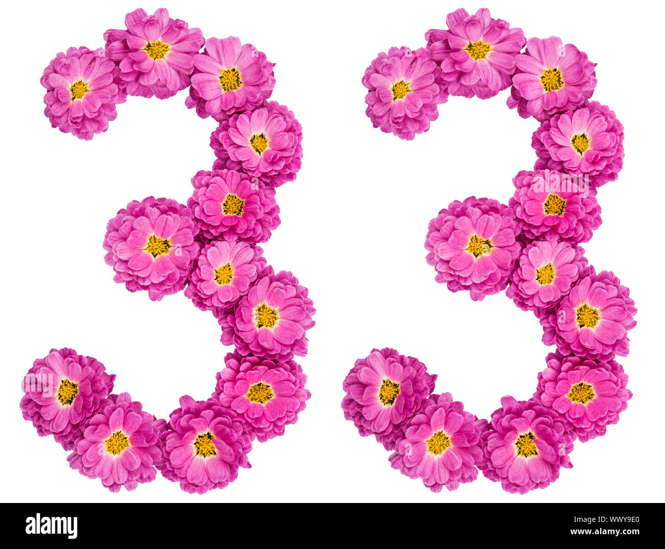 Arabic numeral 33, thirty three, from flowers of chrysanthemum ...