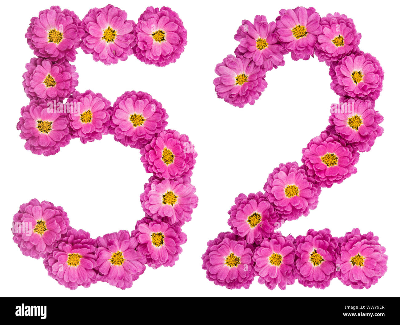 Arabic numeral 52, fifty two, from flowers of chrysanthemum, isolated ...