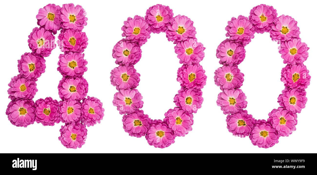 Arabic numeral 400, four hundred, from flowers of chrysanthemum ...