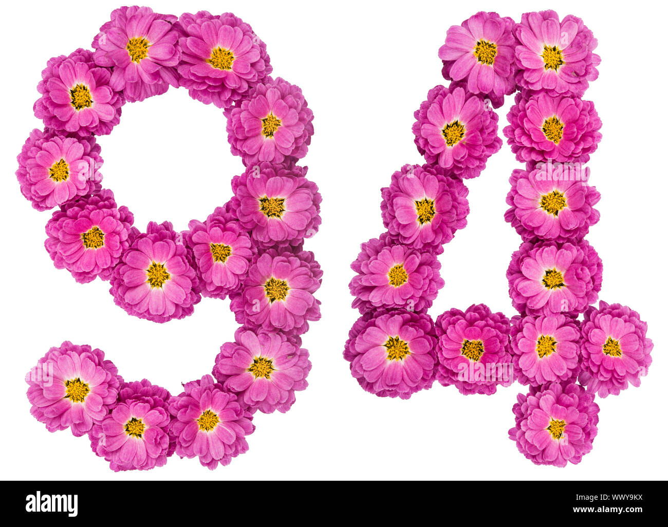 Arabic numeral 94, ninety four, from flowers of chrysanthemum, isolated ...