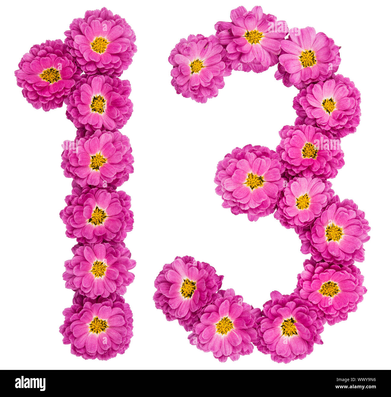 Arabic numeral 13, thirteen, from flowers of chrysanthemum, isolated on ...
