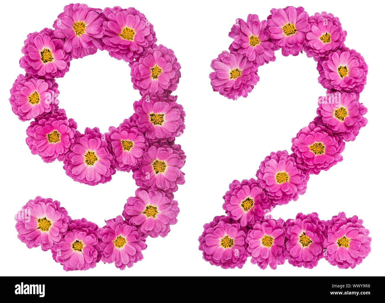 Arabic numeral 92, ninety two, from flowers of chrysanthemum, isolated ...