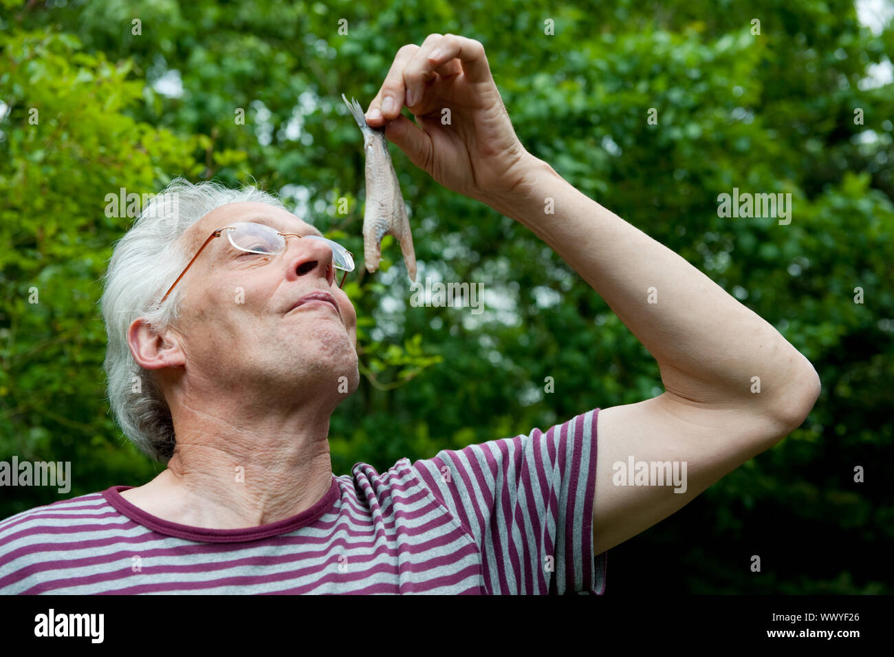 Typical dutch eating herring hi-res stock photography and images - Alamy