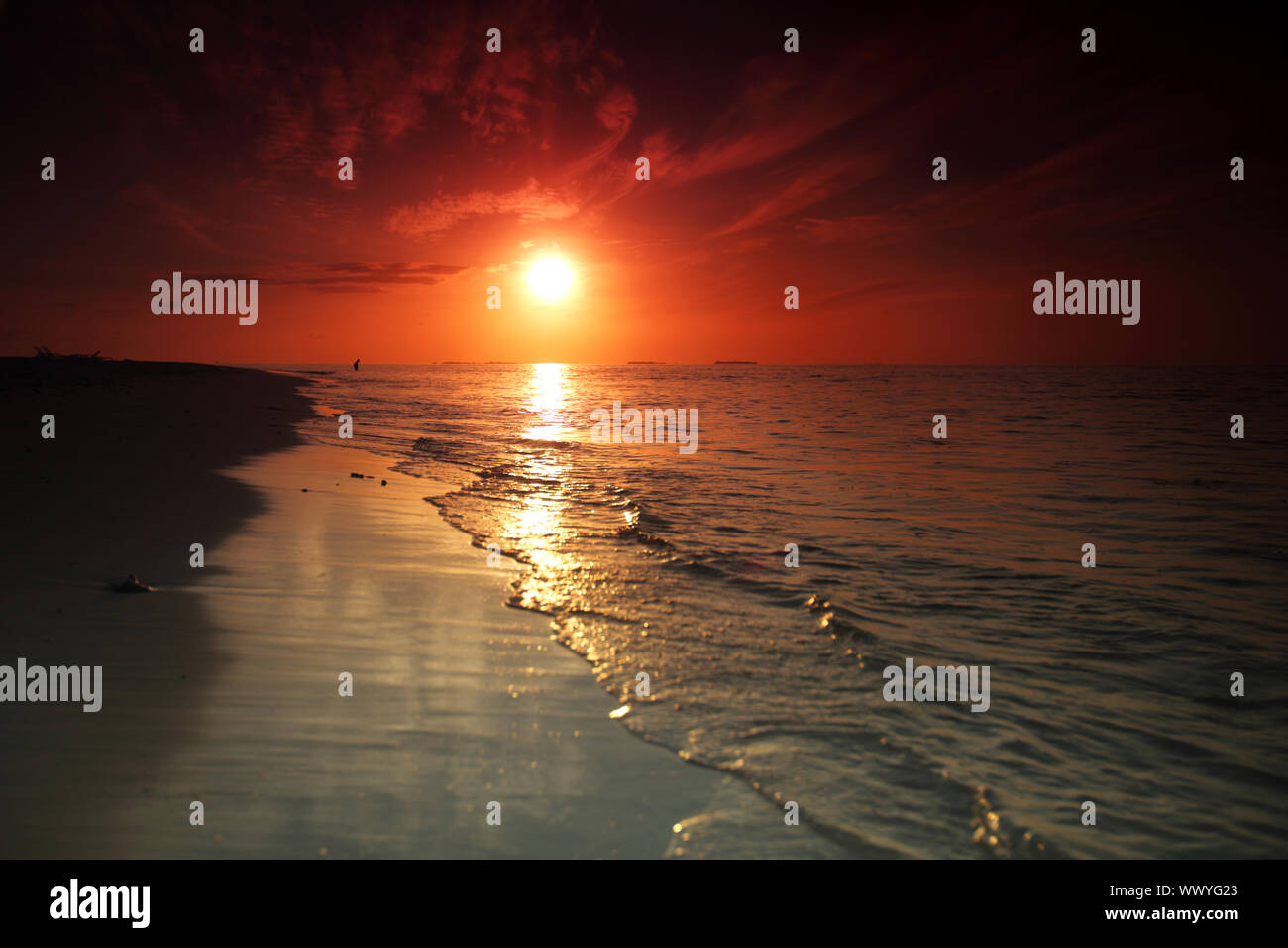 sunset on the sea beach Stock Photo - Alamy