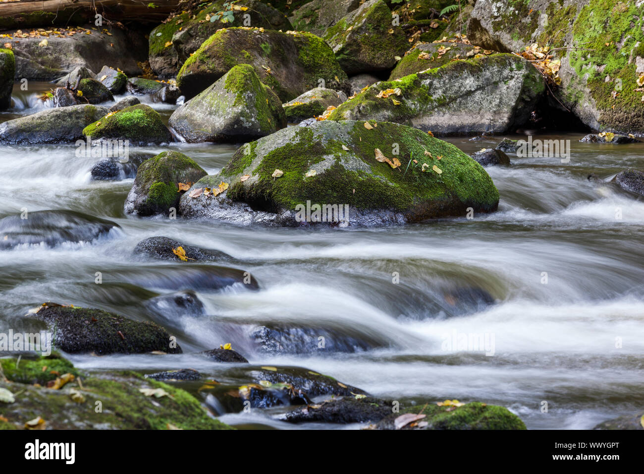 Bode in the Harz Mountains River landscape Stock Photo - Alamy