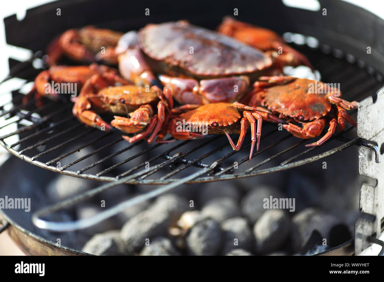 Crab maryland beach hi-res stock photography and images - Alamy
