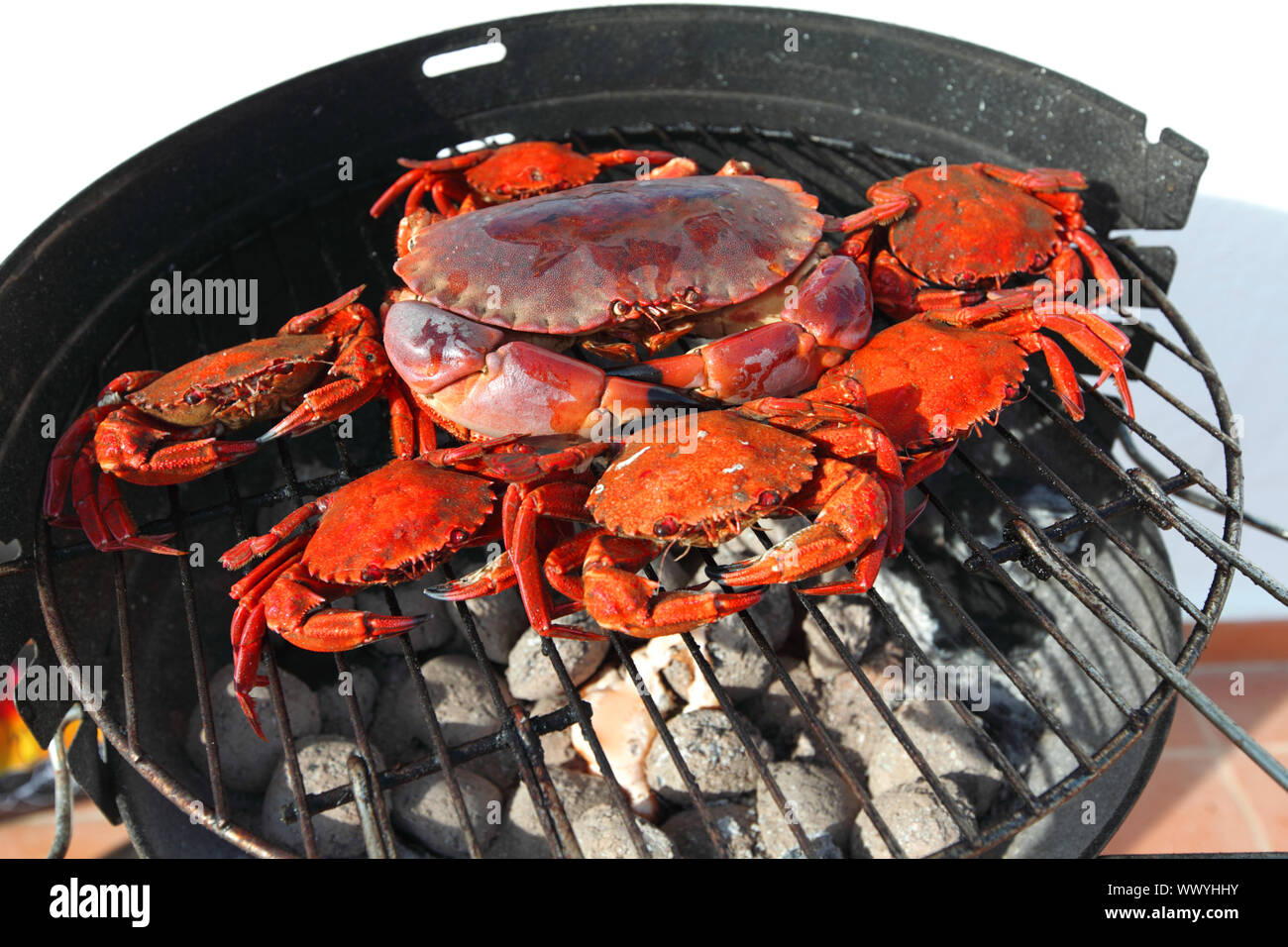 Crab maryland beach hi-res stock photography and images - Alamy