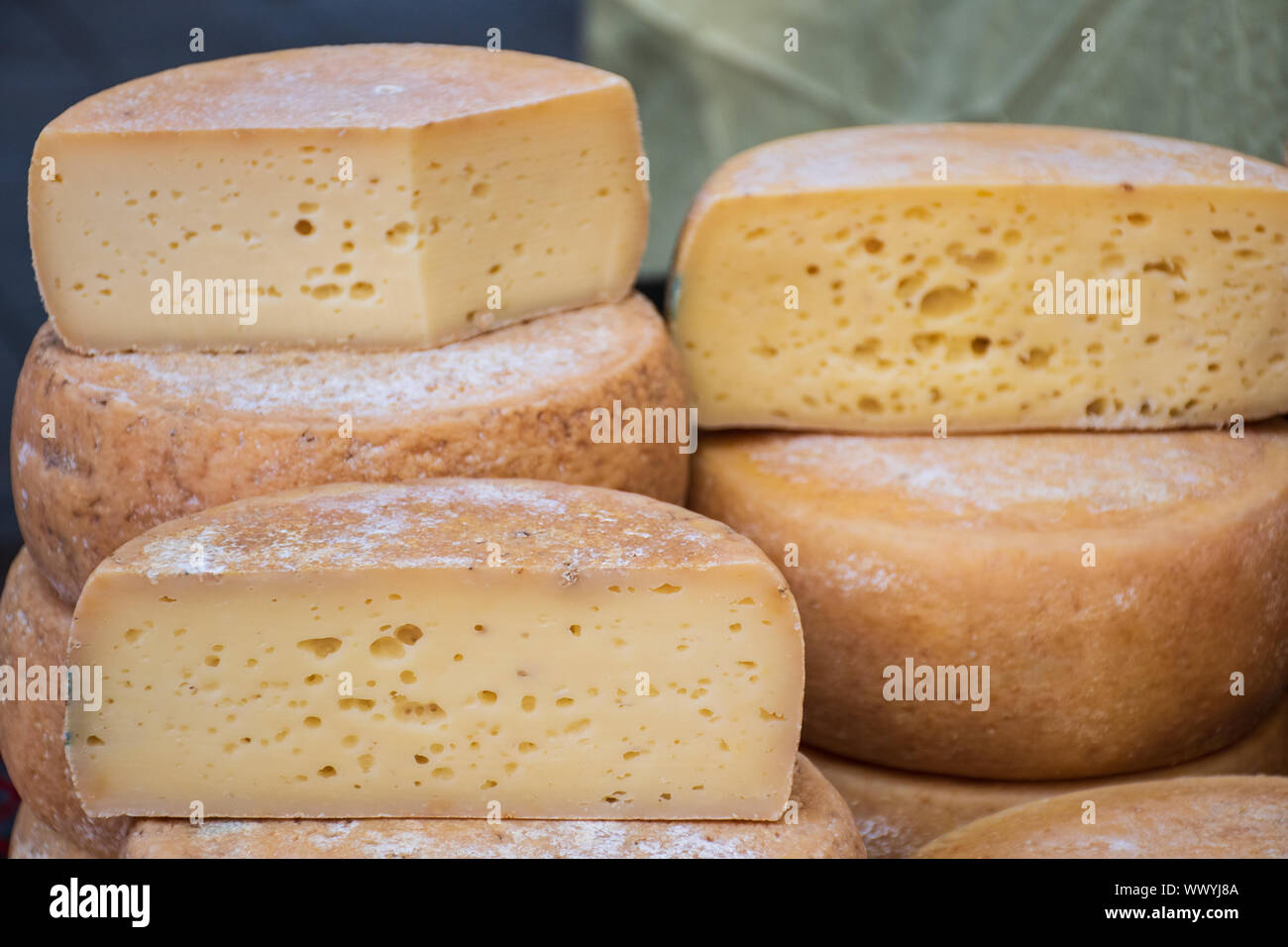Variety homemade bio natural cheese in a street food market Stock Photo ...