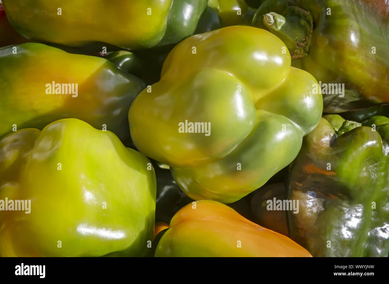 Large yellow ripe pepper Stock Photo - Alamy