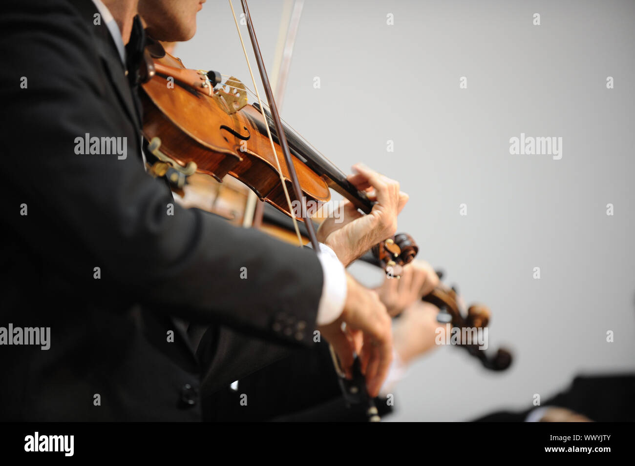 violinist at the concert Stock Photo - Alamy