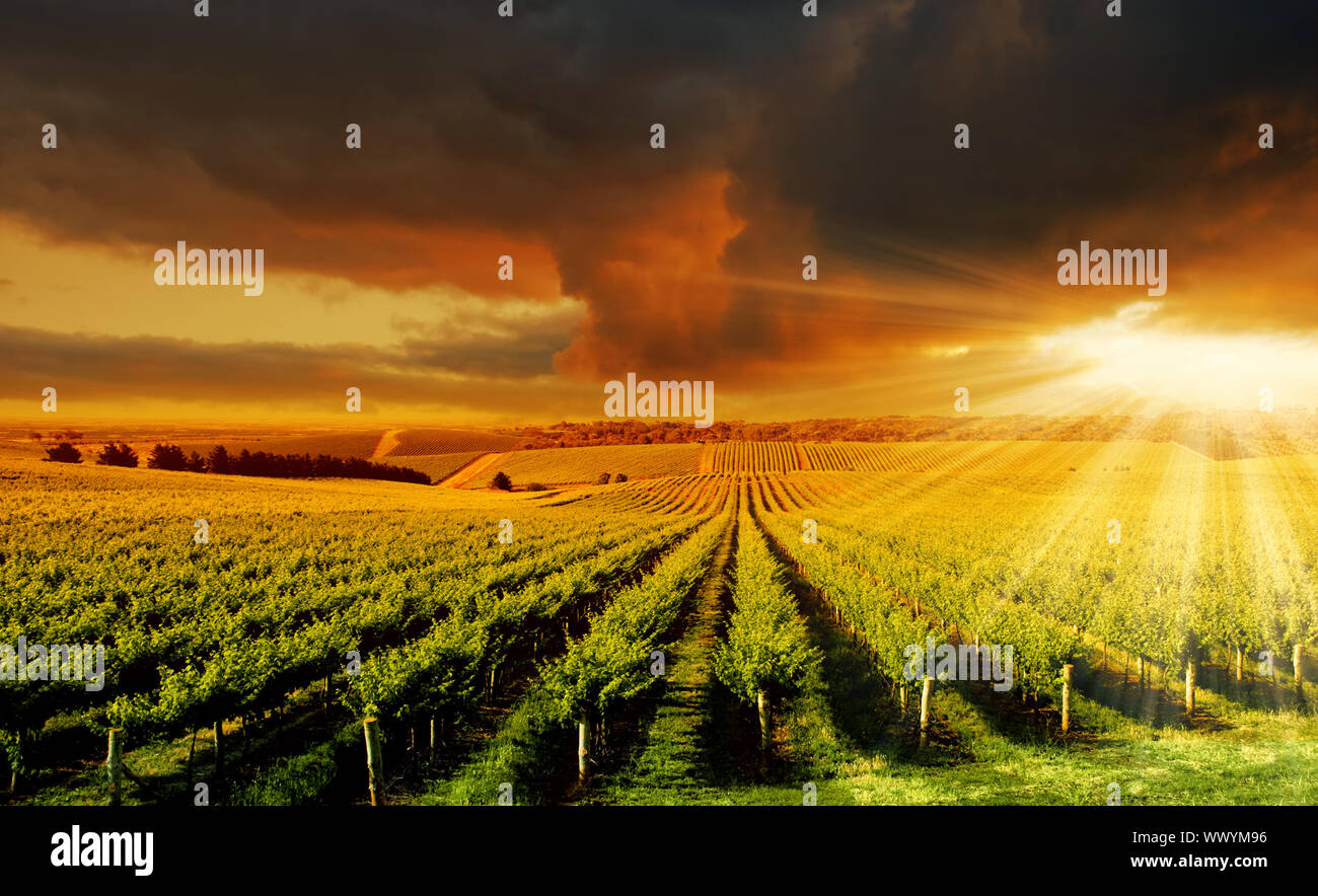 Adelaide hills beautiful hi-res stock photography and images - Alamy