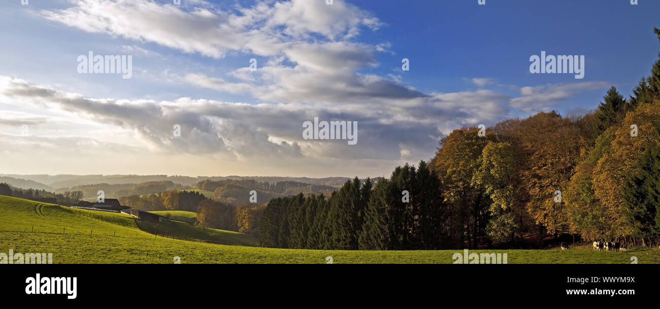 low mountain range Bergisches Land, Wermelskirchen, North Rhine ...
